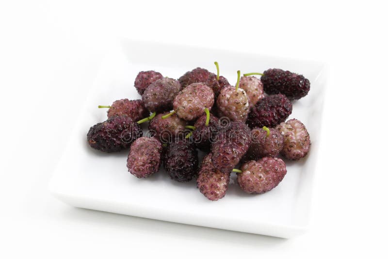 Gelsi bianchi freschi immagine stock. Immagine di frutta - 41466775