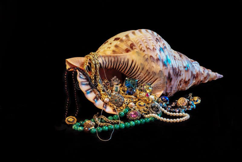 Gem shell stock image. Image of jewels, richness, full - 40395863