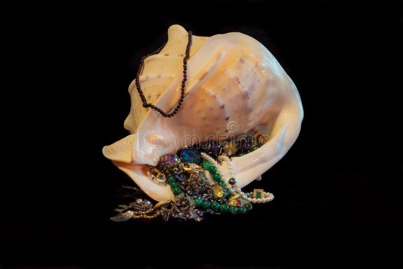 Gem shell stock image. Image of full, wealth, richness - 40395957