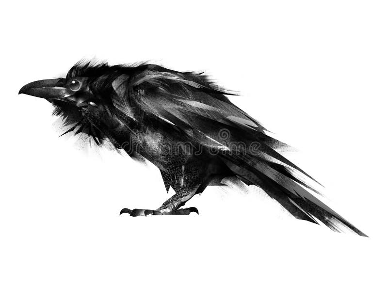 Gemalter Schwarzer Rabe Auf Einem Weißen Hintergrund Stock Abbildung ...