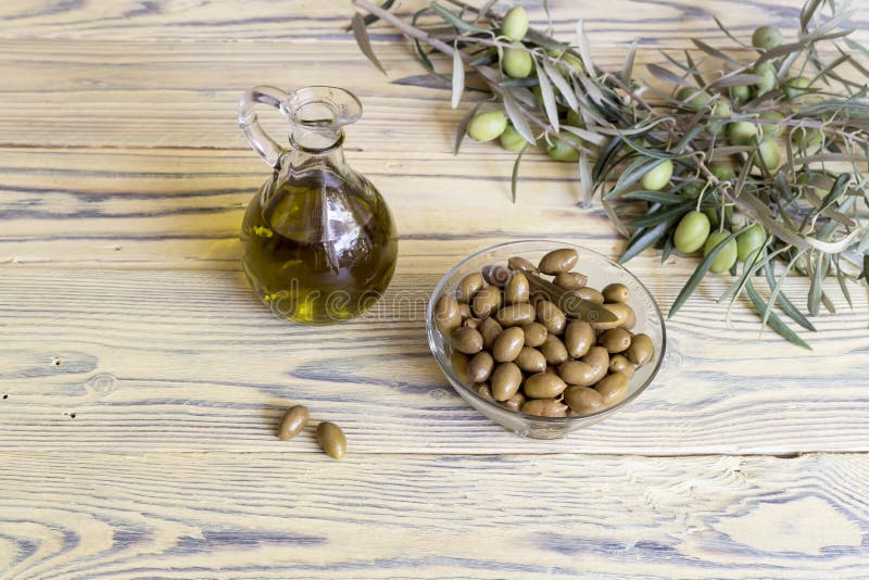 Landbouw De Olijfbomen Met Vruchten Groeien En Rijpen Op Zonnig, De ...