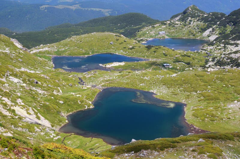 Gemelo y lagos fish imagen de archivo. Imagen de circo - 43142721