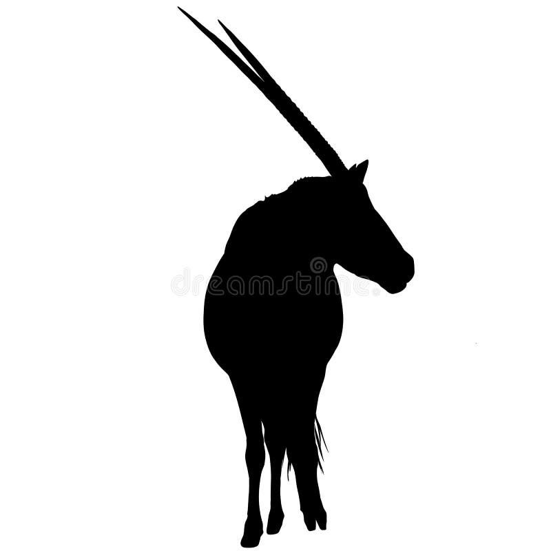 Gemsbok - Silhouette stock vector. Illustration of namibia - 87873530