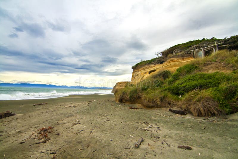 Black Sand Wild Beach in Catlins with Primitive Coastal Wooden Beach ...