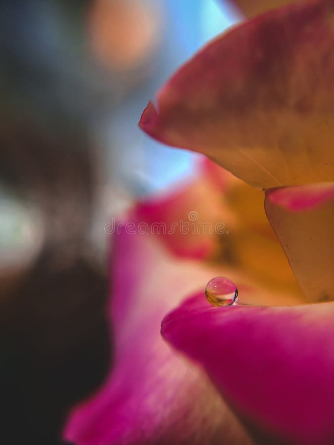 Gemstone like drop stock image. Image of drop, like - 172725147