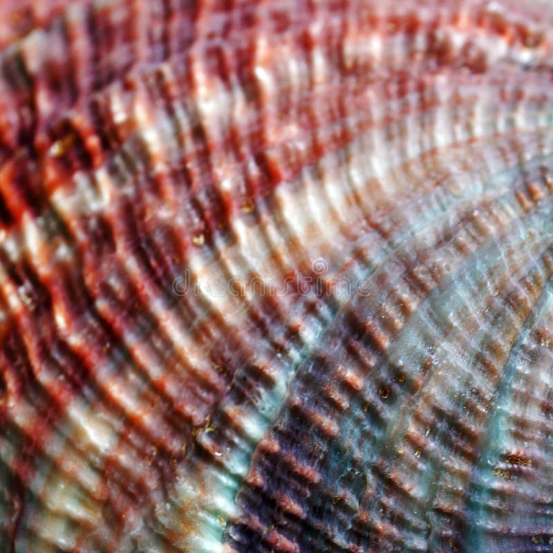 Gemstone nacre close up stock image. Image of backdrop - 96304263