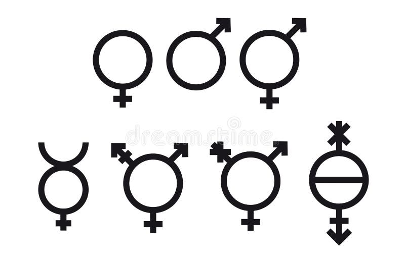 Gender Symbols in Black Lines on a White Background Stock Vector ...