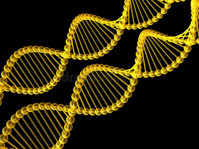 Gene in DNA stock illustration. Illustration of health - 13171327