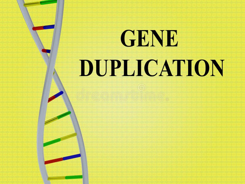 Dna Duplication Stock Illustrations – 206 Dna Duplication Stock ...