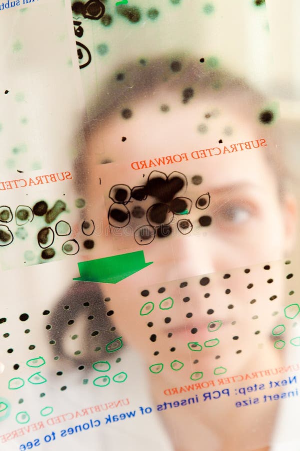 Gene Expression Screen Stock Photos - Free & Royalty-Free Stock Photos ...