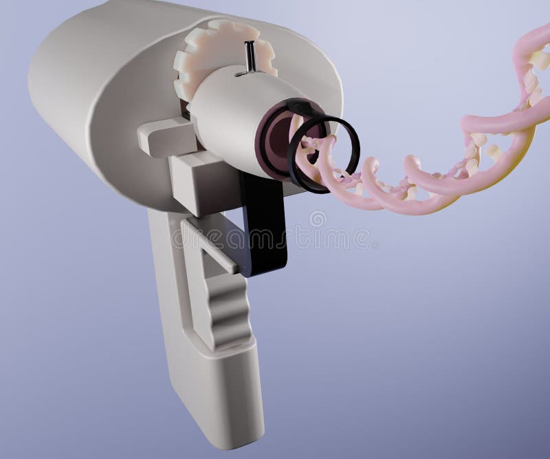 A Gene Gun or a Biolistic Particle Delivery System for Genetic Research ...