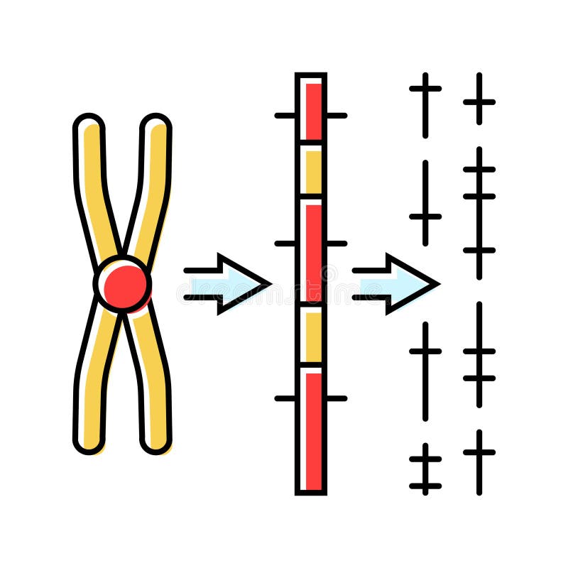 Gene Mapping Cryptogenetics Color Icon Vector Illustration Stock ...