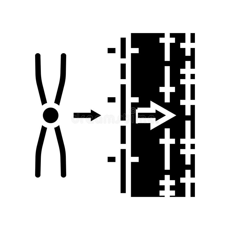 Gene Mapping Cryptogenetics Glyph Icon Vector Illustration Stock Vector ...