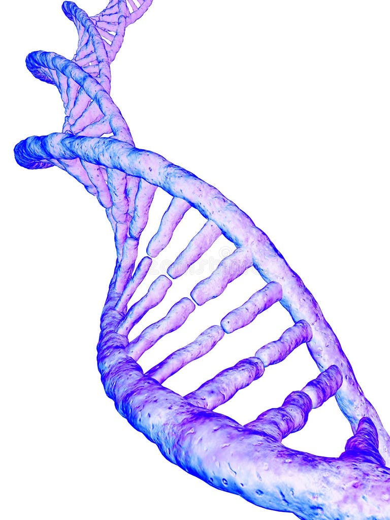 Gene Model Stock Illustrations – 17,279 Gene Model Stock Illustrations ...