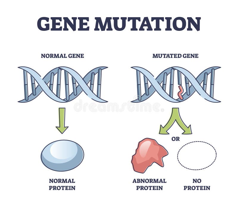 Gene Mutation Models Comparison with Abnormal Helix Protein Outline ... Gene Mutation Models Comparison with Abnormal Helix Protein Outline ...