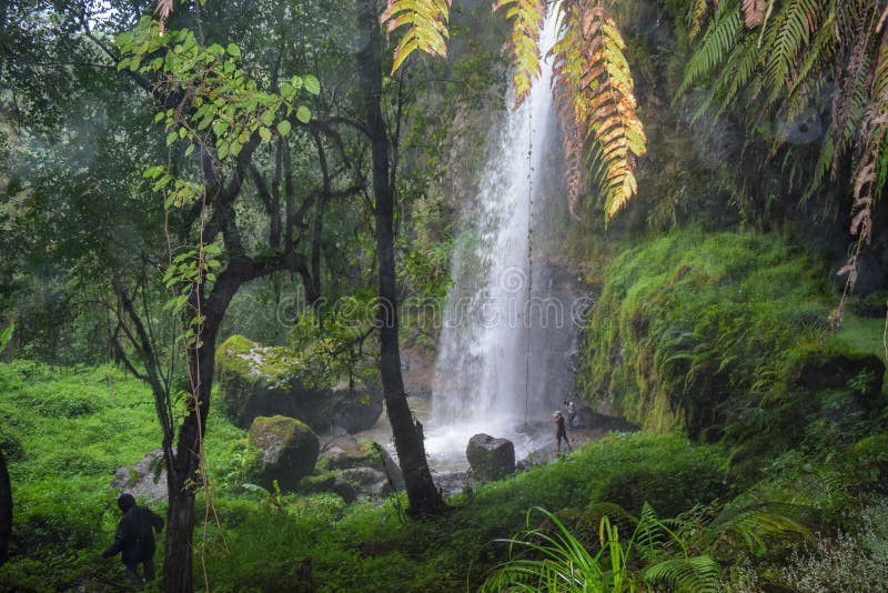 General China Waterfall, Aberdare Ranges, Kenya Editorial Photography ...