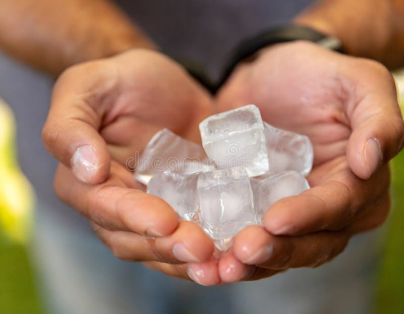 Cupped Hands Holding Ice Cubes Stock Image - Image of holding, frozen ...