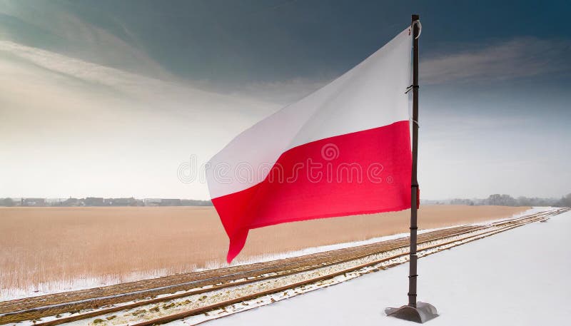 Flag of Poland stock illustration. Illustration of coat - 311510578