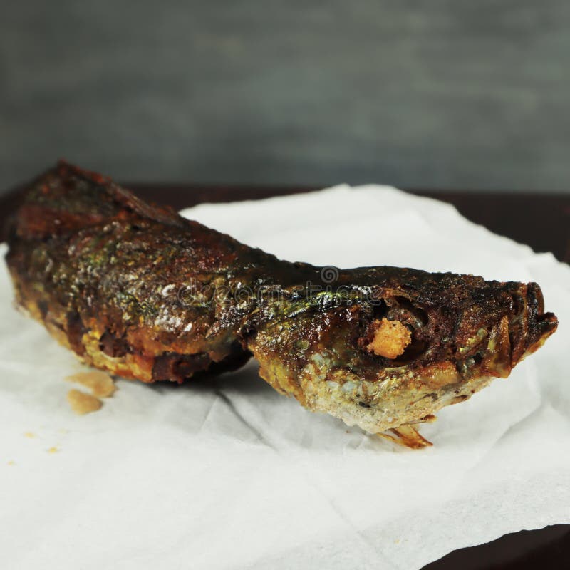 Rosted fish closeup view stock image. Image of reptile - 311769211