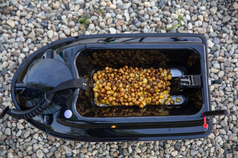 Bait Carp Inside Boat Sunny May Day Stock Photos - Free & Royalty-Free ...