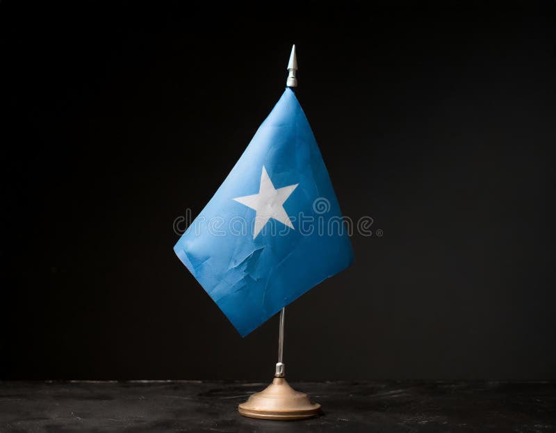 Somalia Flag. the National Flag of Somalia Stock Illustration ...