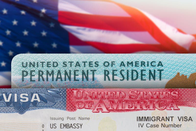 236 National Id Card America Stock Photos - Free & Royalty-Free Stock ...