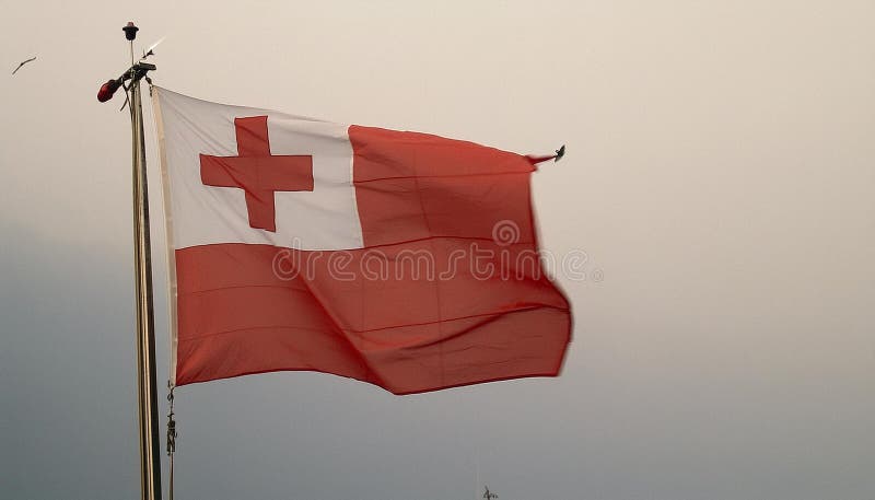 Tonga Flag. the National Flag of Tonga Stock Illustration ...