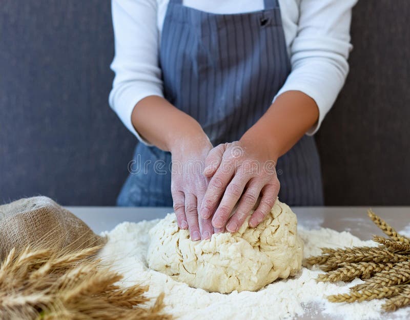 Kneading Dough on a Floured Surface Stock Illustration - Illustration ...