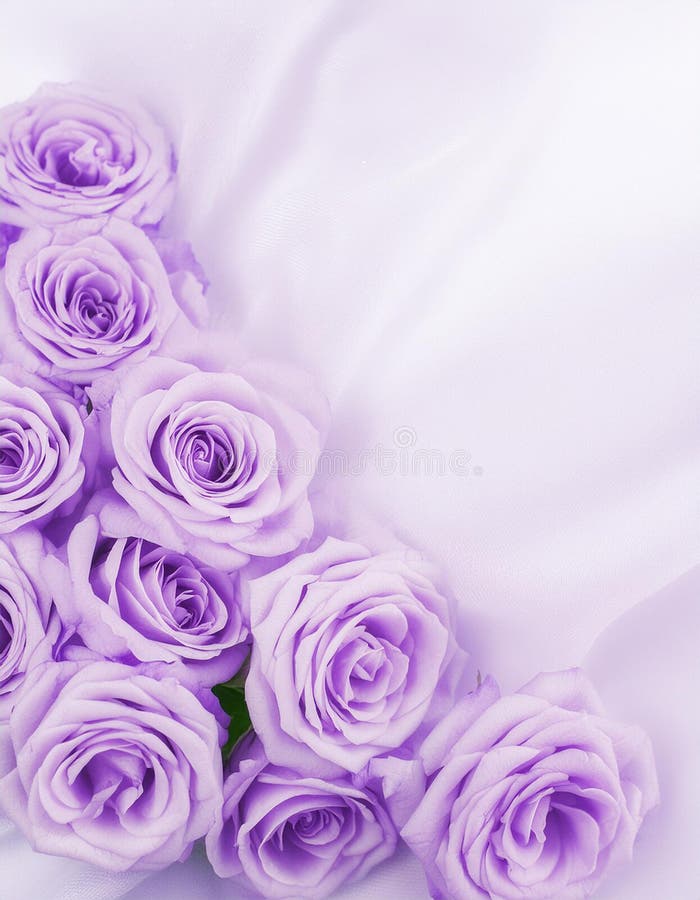 Purple Roses Corner Border Designs. Stock Illustration - Illustration ...