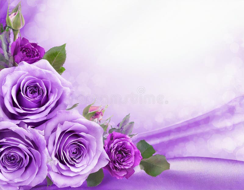 Purple Roses Corner Border Designs. Stock Illustration - Illustration ...