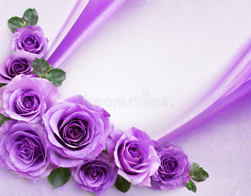 Purple Roses Corner Border Designs. Stock Illustration - Illustration ...