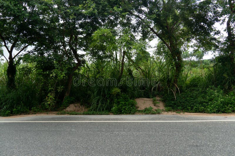 Horizontal View of Asphalt Road in Thailand. Stock Image - Image of ...