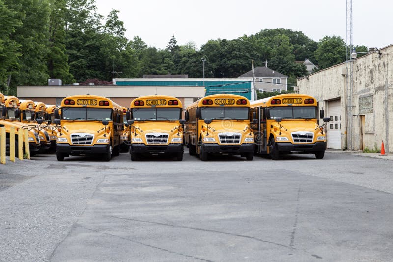 School Buses Parked at Company Stock Image - Image of public, business ...