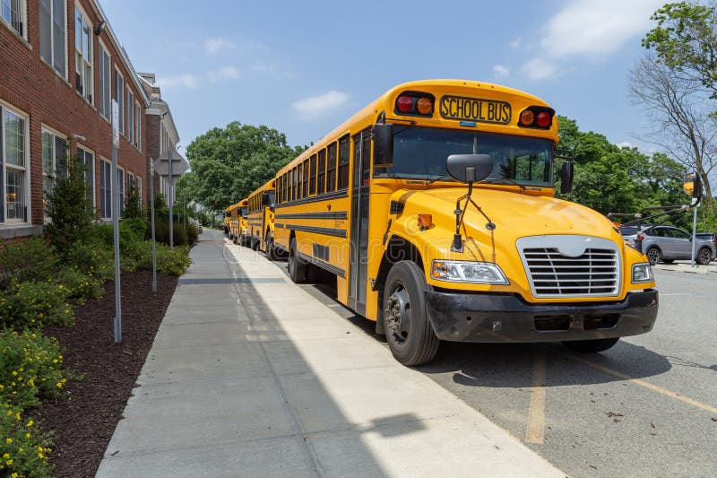 Big Buses parked stock photo. Image of yellow, trips - 325337020