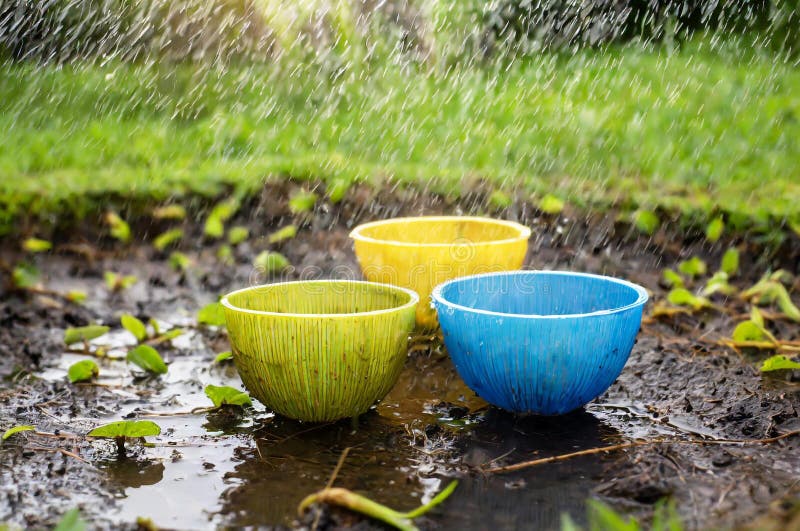 In Rainy Weather Containers Wait for Rain To Collect Water. Stock ...