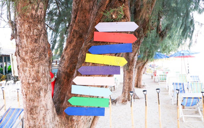 Empty Wooden Sign Board Hanging Branch White Background Old Weathered ...