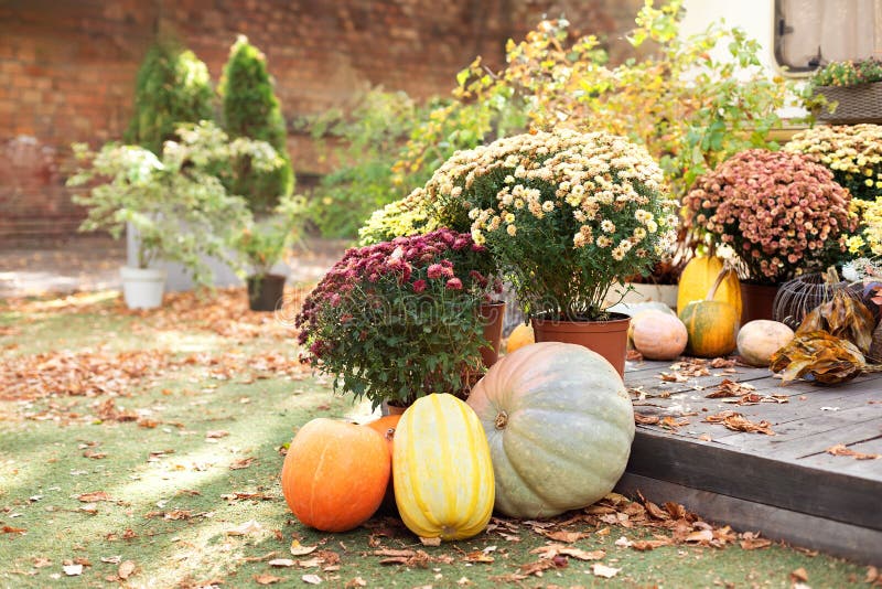 Porch Decorated for Halloween, Thanksgiving, Cozy Fall Season. Exterior ...
