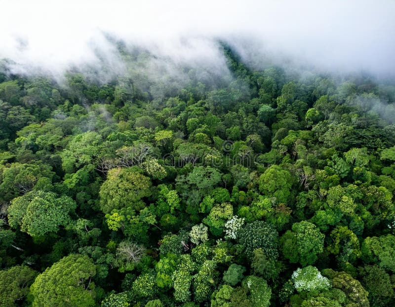 Complex Interrelationships Stock Illustrations – 10 Complex ...