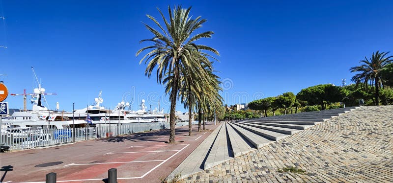 Beautiful Promenade by the Sea with Big Old Pine Trees Lined by the ...