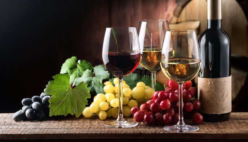 Red and White Wine Composition in Mood Lighting. Stock Illustration ...
