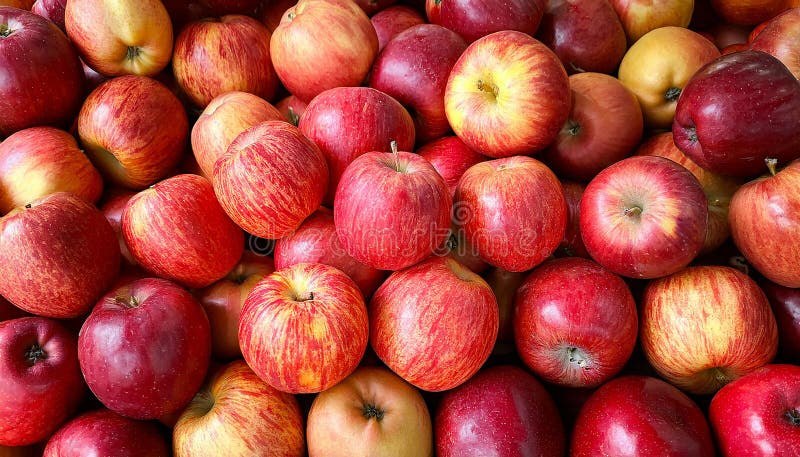 Full Frame Shot of Red Apples. Fresh Red Apples from the Market Stock ...