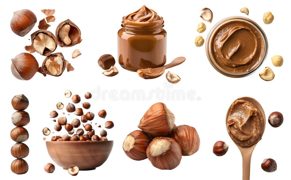 Hazelnut Cobnuts Filberts Nut Seed, Many Angles View Bowl Spoon Jar ...