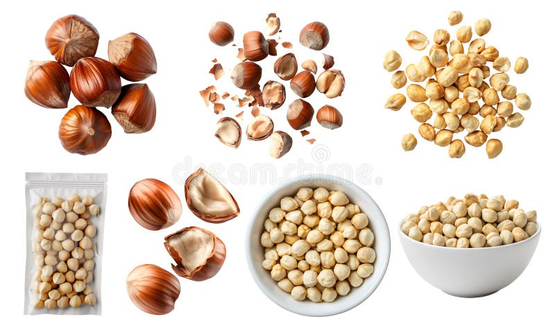 Hazelnut Cobnuts Nut Seed Kernel, Many Angles View Bowl Stack, Packet ...