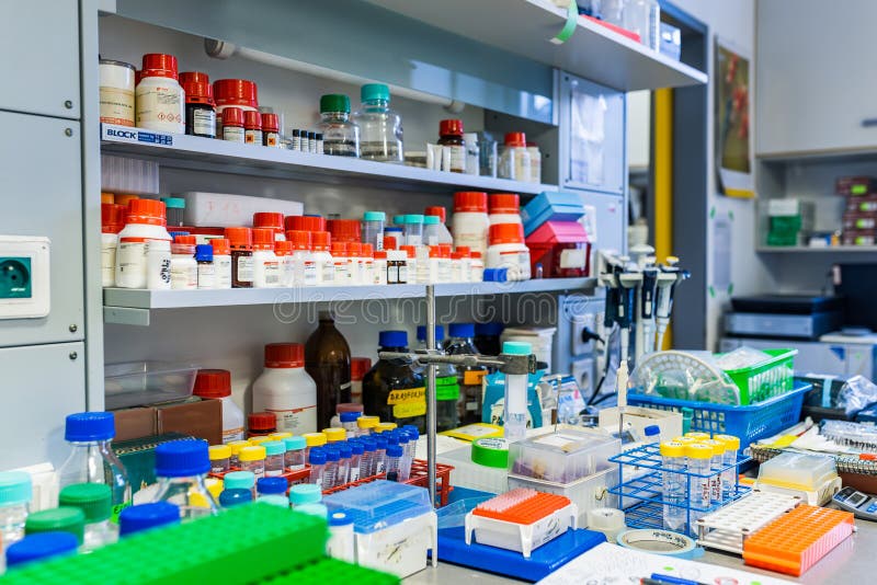 Organized Chemical Reagents and Containers on Laboratory Shelving ...