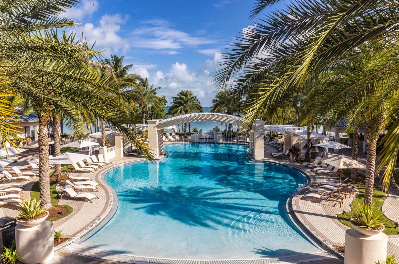 Resort Pool with Palms and Sun Beds Stock Photo - Image of largo ...