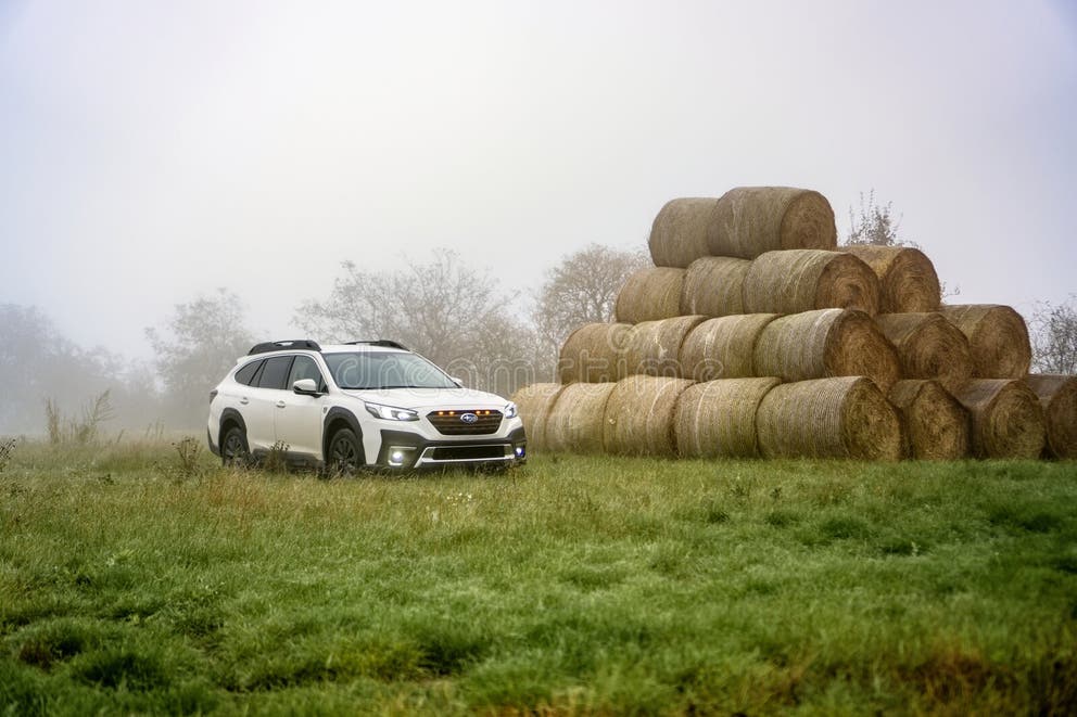 White Subaru Outback SUV in Autumn on a Meadow in the Fog Editorial ...