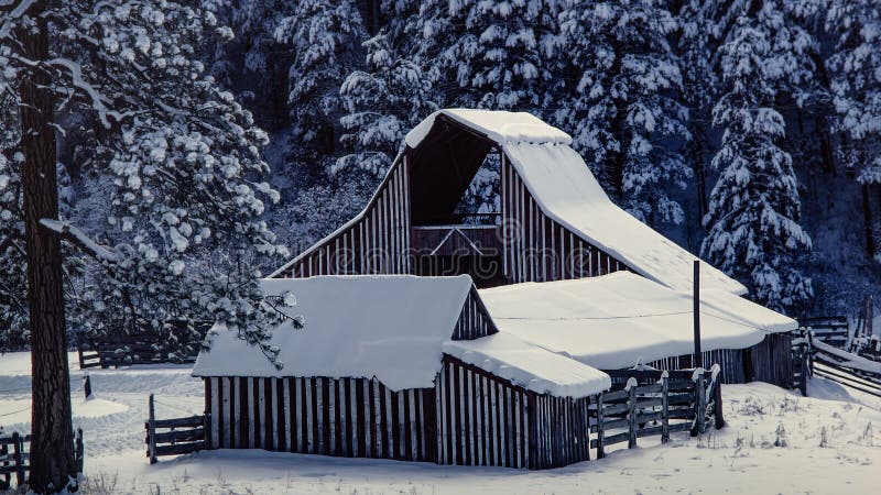 Ranch in Colorado : Rustic Wooden Barn after Snowfall. Winter Scenery ...
