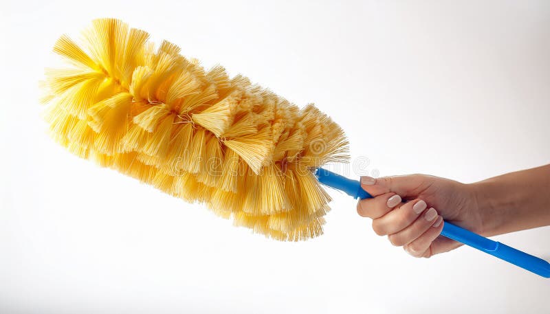 Woman Hand Holding a Duster Clean Isolated on a White Background Stock ...