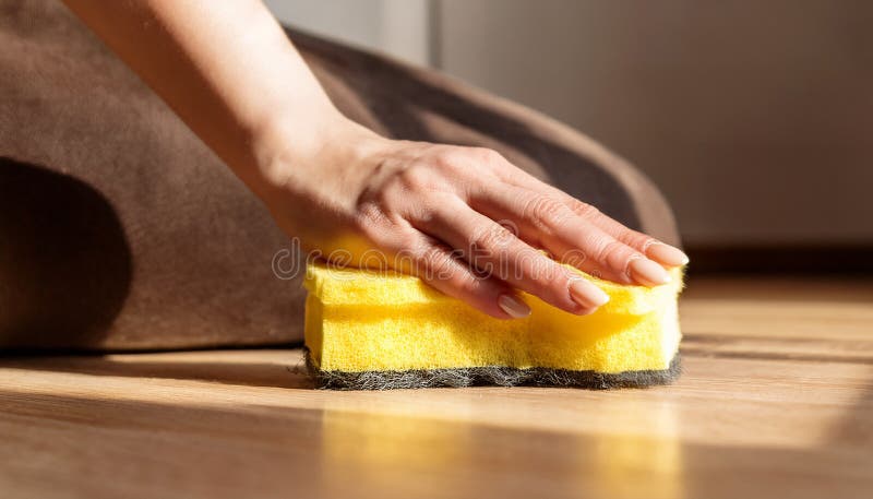 Wiped Floor Stock Illustrations – 70 Wiped Floor Stock Illustrations ...