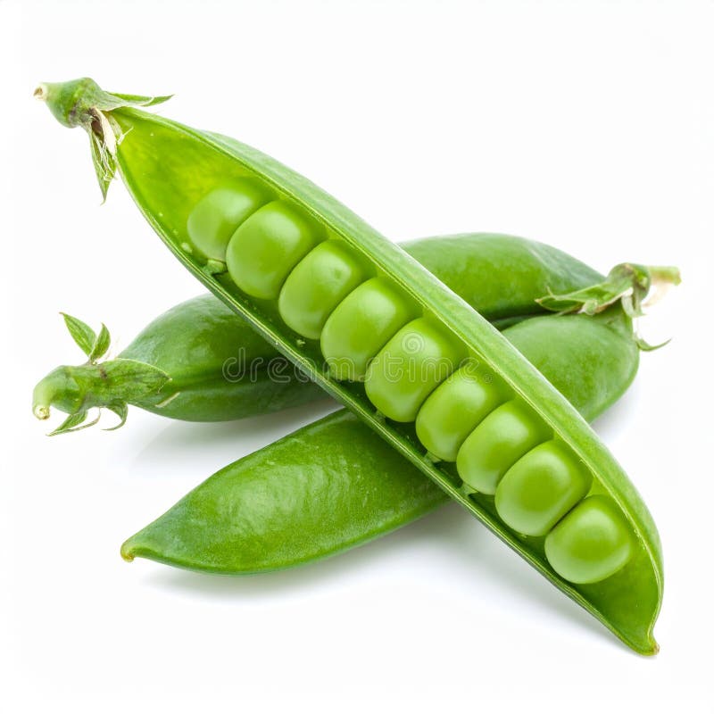Pea Pod Arrangement Stock Illustrations – 480 Pea Pod Arrangement Stock ...